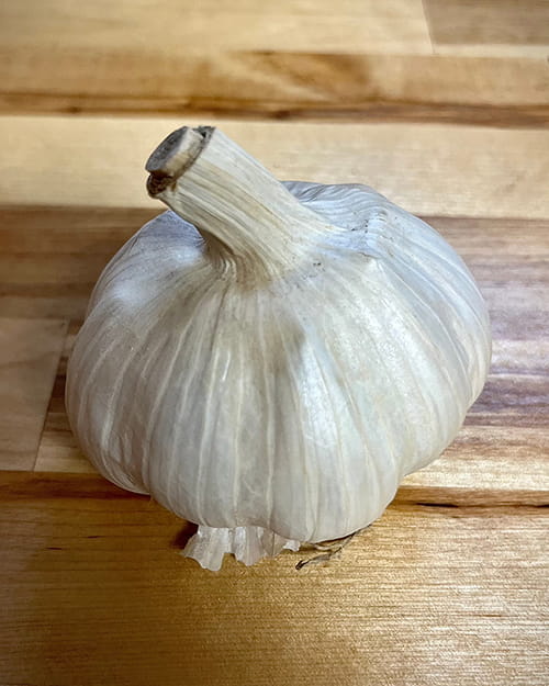German White Garlic | Finger Lakes Grown