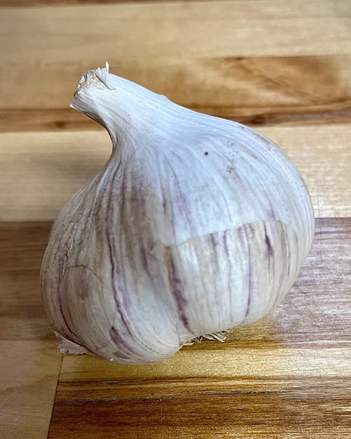 Spanish Roja Garlic | Finger Lakes Grown